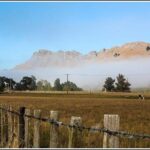 Shore Excursion: 4 Hour Premium Hawkes Bay and Napier Tour - The Value of the Tour