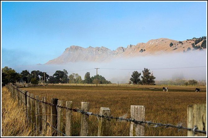 Shore Excursion: 4 Hour Premium Hawkes Bay and Napier Tour - The Value of the Tour