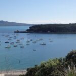 Shore Excursion: Auckland Scenic Full Day Tour - 8 Hours - The Experience and What You’ll Love