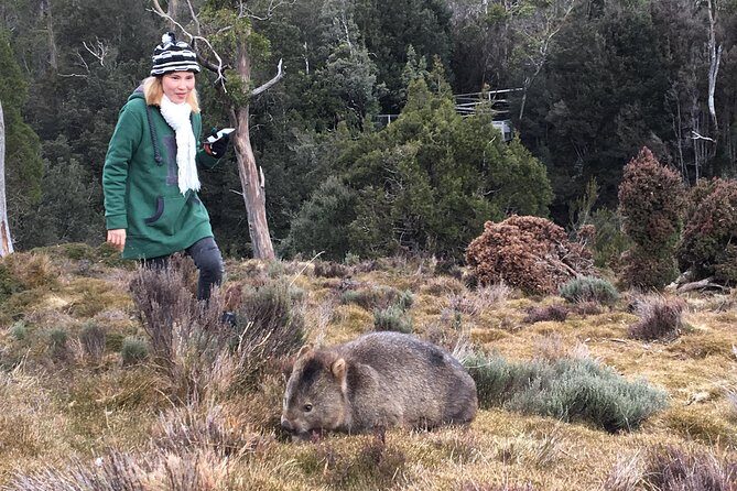 Shore Excursion - Cradle Mountain Shuttle Bus from Burnie - The Itinerary: What to Expect