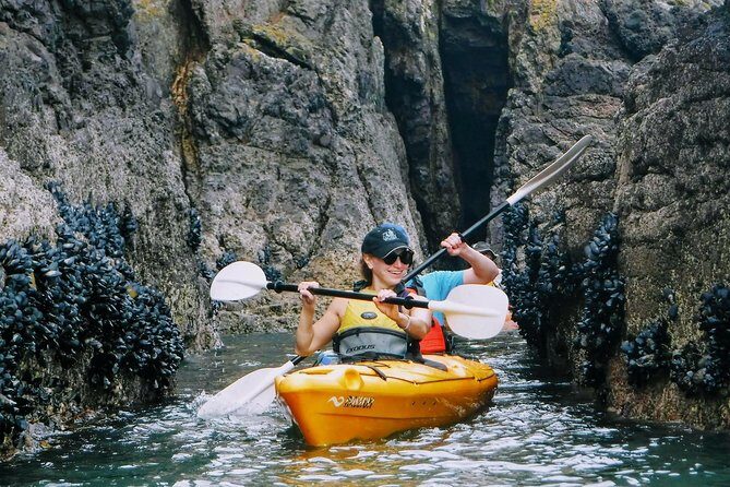 Shore Excursion Guided Sea Kayaking through Akaroa Marine Reserve - Who Should Consider This Tour?