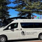 Shore Excursion: Hahndorf & Barossa Valley including Lunch - The Sum Up