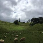 Shore Excursion: Half-Day Auckland Volcanoes Tour - The Practicalities: Transportation, Timing, and Value