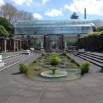 Shore Excursion: Half Day Small Group Auckland Scenic Tour - 4 HOURS - Transport and Practical Details