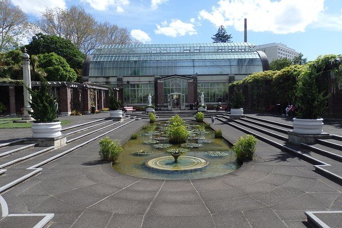 Shore Excursion: Half Day Small Group Auckland Scenic Tour - 4 HOURS - Transport and Practical Details