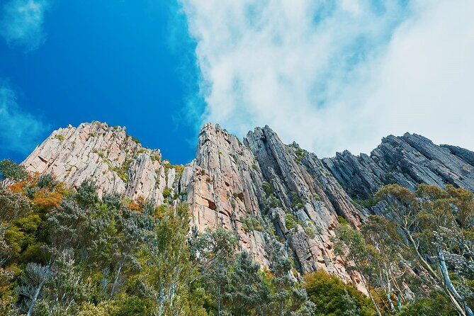 Shore Excursion-Hobart Wanderer - Frequently Asked Questions (FAQs)