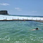 Shore Excursion: Sydney's Northern Beaches & Ku-ring-gai National Park Bus Tour - The Price and Its Value