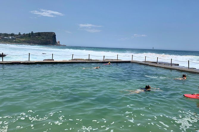 Shore Excursion: Sydney's Northern Beaches & Ku-ring-gai National Park Bus Tour - The Price and Its Value