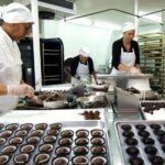 Shore Excursion to Historic Kerikeri including Lunch - Authentic Reviews and Insights