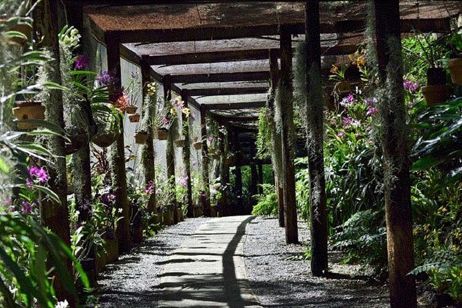 Shore Excursions - "Historical and Cultural Tour" of Nadi with Lunch Stop - What You’ll See and Do: A Detailed Breakdown