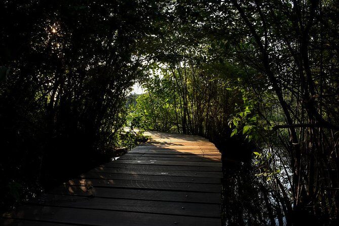 Shore Excursions Port Passenger Terminal to Colombo Wetland Tour. - What Travelers Can Expect