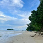 Siargao Island Vegetarian Cooking Class - Who Will Love This Experience?
