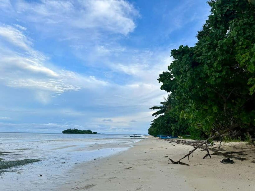 Siargao Island Vegetarian Cooking Class - Who Will Love This Experience?