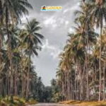 Siargao: Land Tour - Exploring the Highlights