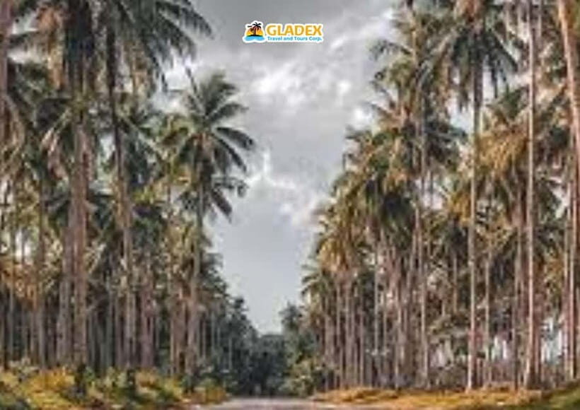 Siargao: Land Tour - Exploring the Highlights