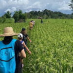 Sidemen: Rice Terraces and Hidden Waterfall - A Closer Look at the Tour Experience
