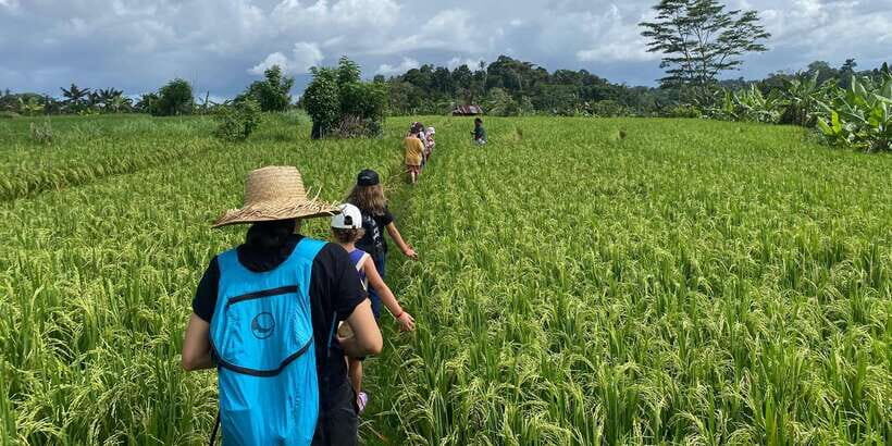 Sidemen: Rice Terraces and Hidden Waterfall - A Closer Look at the Tour Experience