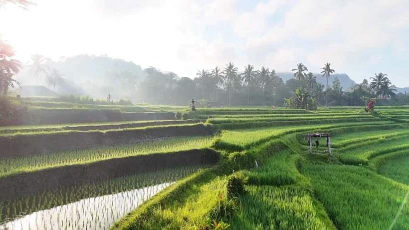 Sidemen rice terraces trek and local village walk - Deep Dive Into the Rice Fields and Village Life