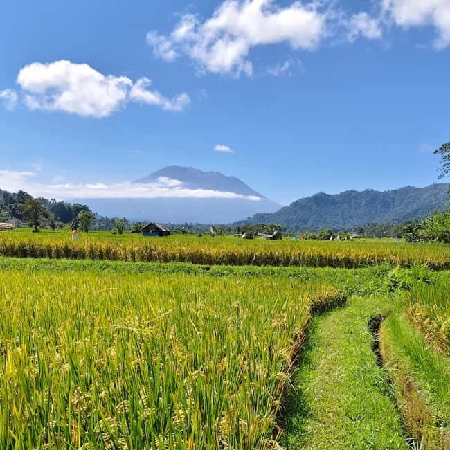 Sidemen: Rice Terraces, Waterfall, & Village Tour - What’s Included and What to Consider