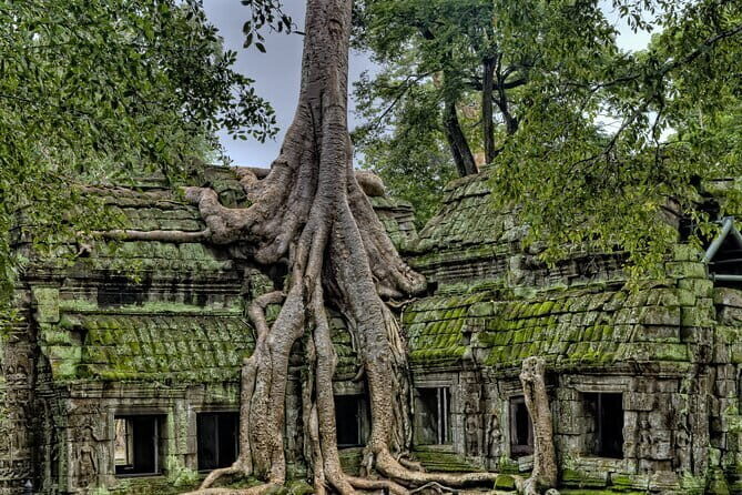 Siem Reap Angkor Wat, Bayon and Ta Prohm Temples Guided Tour - What’s Included and What’s Not