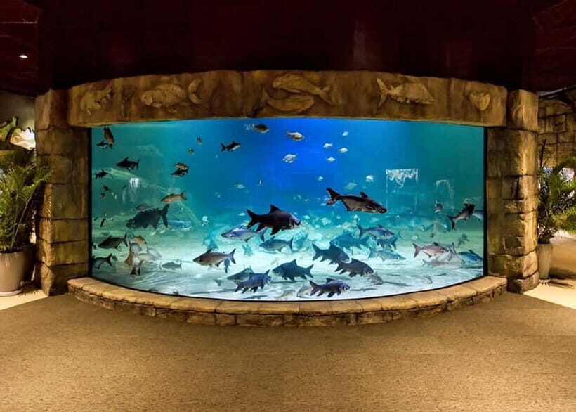 Siem Reap: Angkor Wildlife & Aquarium Entrance Ticket - Is It Worth the Price?