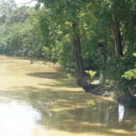 Siem Reap: City Walking Tour and Art Gallery Visit - Final Thoughts: Who Will Love This Tour?