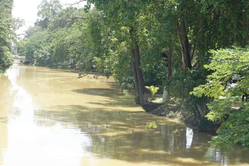 Siem Reap: City Walking Tour and Art Gallery Visit - Final Thoughts: Who Will Love This Tour?