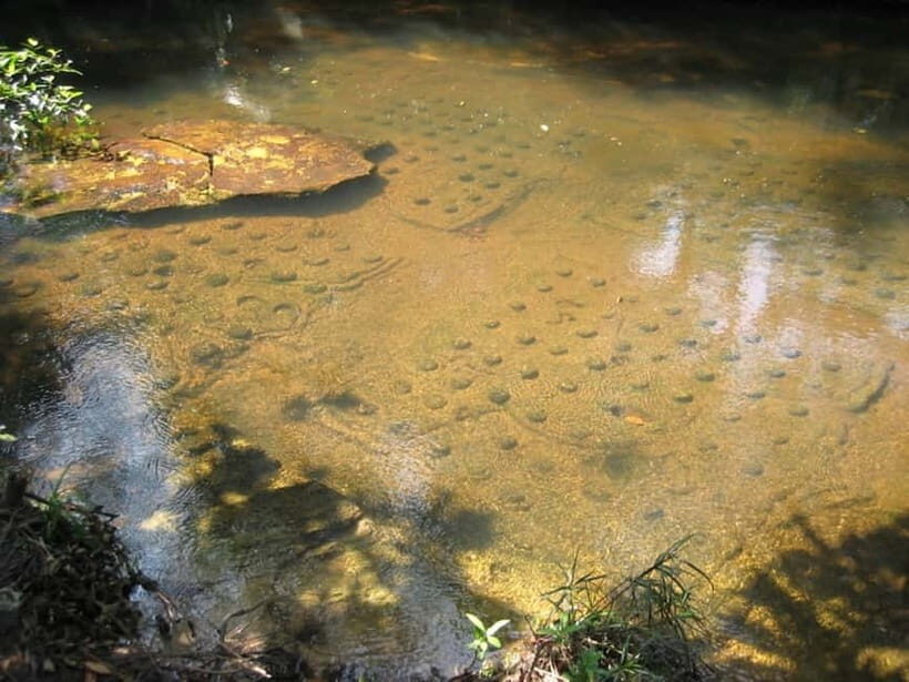 Siem Reap: Kulen, Waterfall 1000 lingas hosting by Local - Who Will Love This Tour?