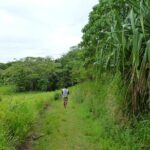 Sigatoka Sand Dune and Water Fall Nature Tour Ex Nadi Sigatoka - Final Thoughts: Is This Tour Right for You?