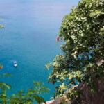 Sightseeing Boat Trip in Trincomalee - What You Can Expect from the Boat Trip