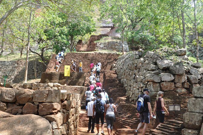 Sigiriya and Dambulla from Negombo - Exploring the Day Trip: What to Expect