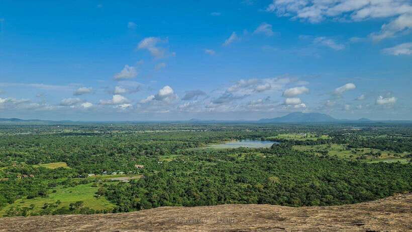 Sigiriya, Dambulla & Safari Day Tour from Colombo - Assessing the Value