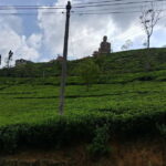 Sigiriya, Kandy, Ella : Explore Sri Lanka's Attractions Tour - Who Is This Tour Best For?