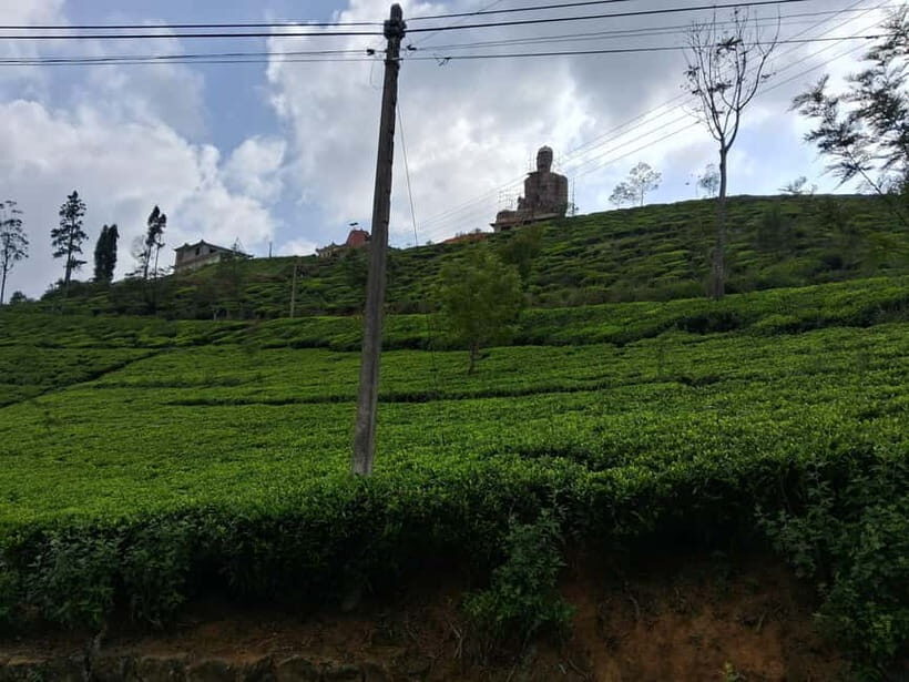 Sigiriya, Kandy, Ella : Explore Sri Lanka's Attractions Tour - Who Is This Tour Best For?
