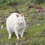 Signature Bruny Island Tour - Hobart & SE Tasmania - Who Will Enjoy This Tour?