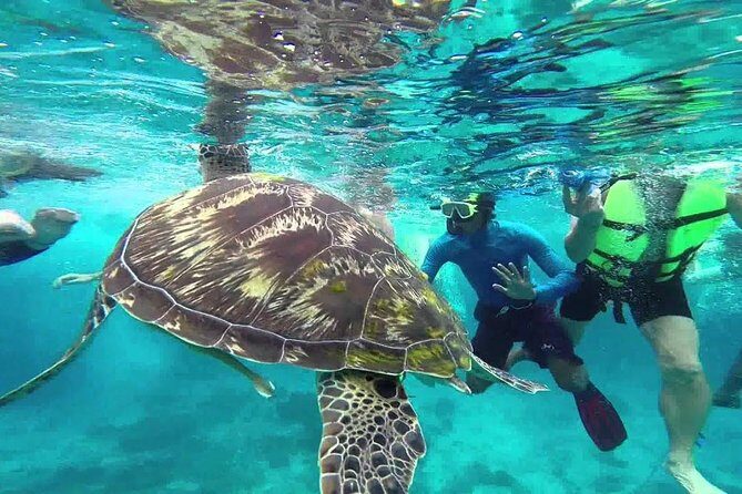 Similan Islands Full-Day Tour from Phuket with Lunch (SHA Plus) - What We Love About the Experience