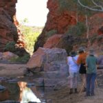 Simpsons Gap Sunset: Watercolour Painting Class - The Experience: A Closer Look