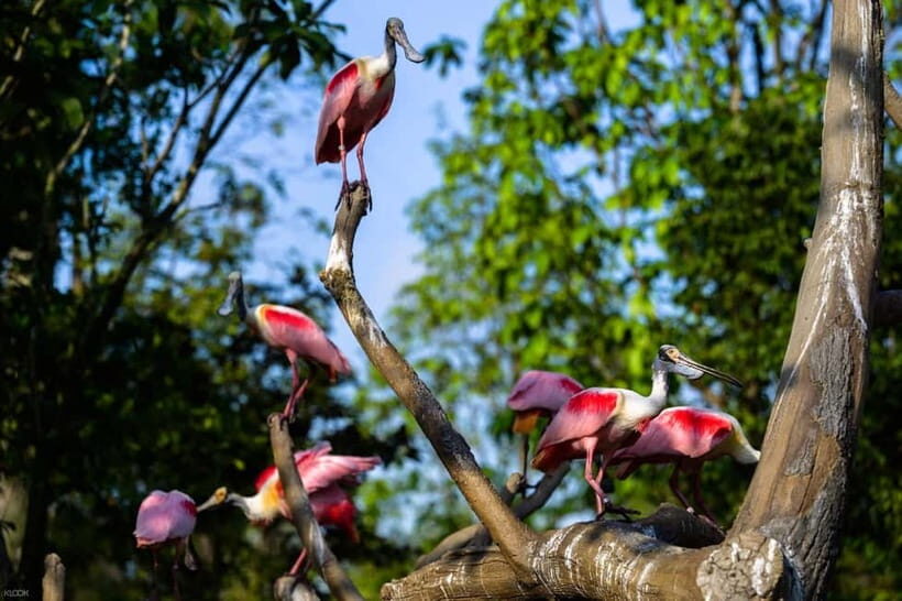 Singapore: Bird Paradise - The Sum Up