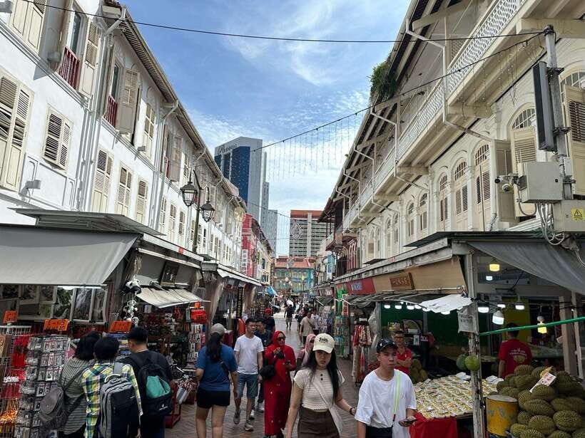Singapore Car Tour: Chinatown/Haji Lane/Joo Chiat - Practical Tips for Travelers