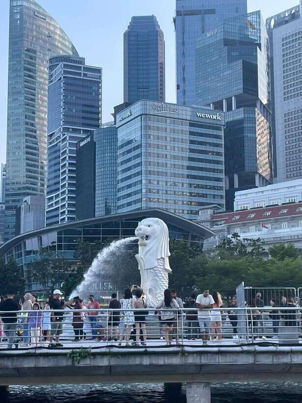 Singapore: City Tour & Jurassic World at Gardens by the Bay - Who This Tour Is Best For