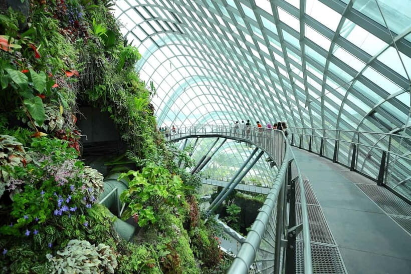 Singapore: Gardens by the Bay Accessible Guided Tour - Who Will Love This Tour