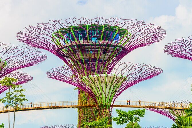 Singapore Gardens by the Bay Admission Skip-The-Line E-Ticket - Who Will Love This Experience