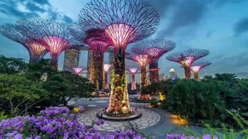 Singapore: Gardens by the Bay National Garden Day Tour - An In-Depth Look at the Gardens by the Bay Tour