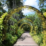 Singapore: Half-Day City Tour with Hotel Transfer - What Travelers Are Saying