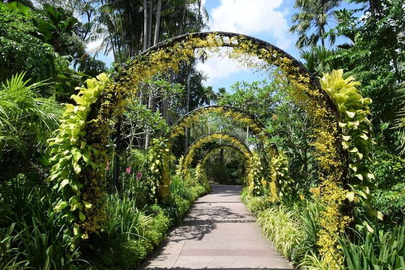 Singapore: Half-Day City Tour with Hotel Transfer - What Travelers Are Saying