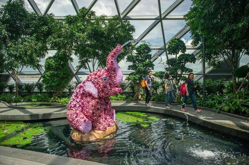 Singapore: Jewel Changi Airport Attraction Ticket - Navigating the Attractions: What to Expect