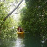 Singapore Paddle to Pedal Adventure in Pulau Ubin - Price and Value