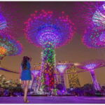 Singapore River Cruise, Spectra & Garden Rhapsody Light Show - Practical Tips for Travelers