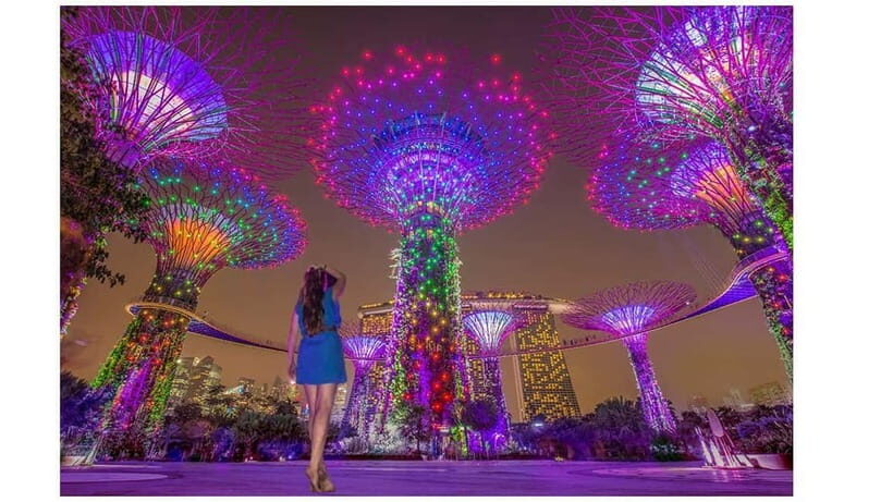 Singapore River Cruise, Spectra & Garden Rhapsody Light Show - Practical Tips for Travelers