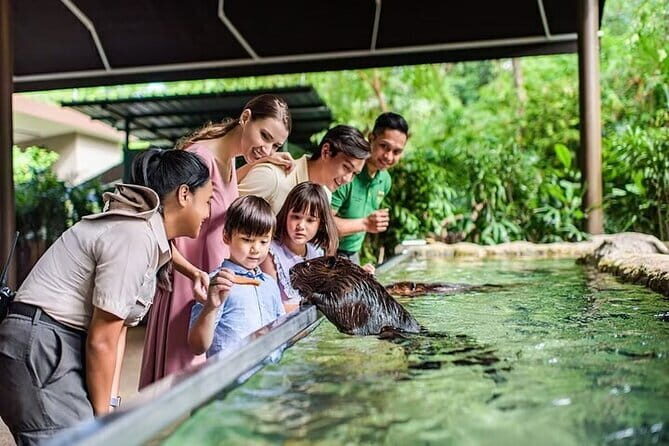 Singapore River Wonders Entry Ticket - Analyzing the Experience
